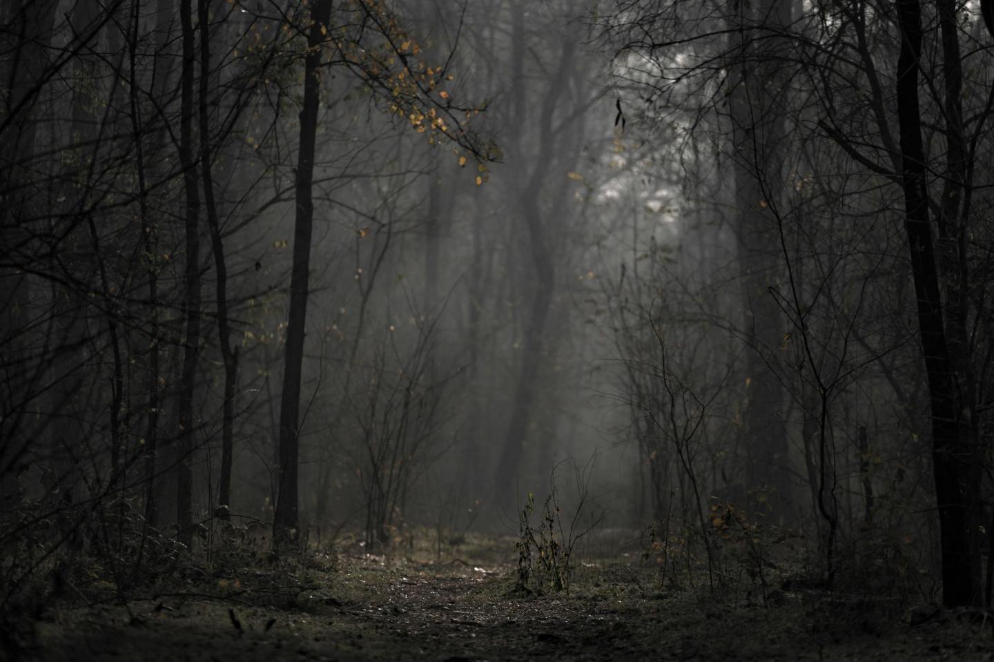 Unraveling the Mystery: The Origin and Myths of Slender Man – KATIE MARIE