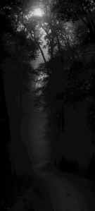 Unraveling the Mystery: The Origin and Myths of Slender Man – KATIE MARIE