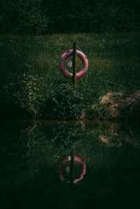 From Folklore to Fright: The Enduring Mystery of Jenny Greenteeth in ...